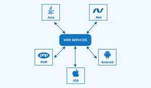 The Difference between Web Services and Microservices - TatvaSoft Blog