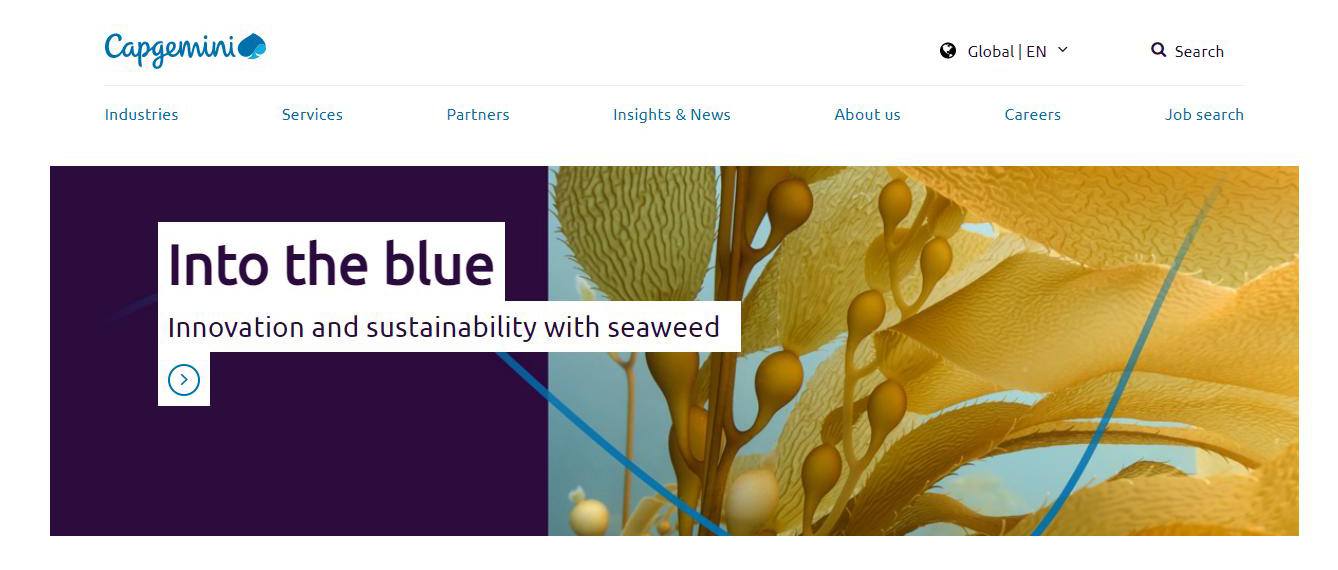 Top Software Development Companies in India - TatvaSoft Blog