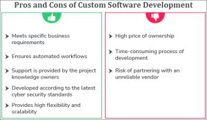COTS Vs Custom Software: Which One to Choose? - TatvaSoft Blog