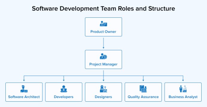 Top 10 Key Roles in a Software Development Team - TatvaSoft Blog