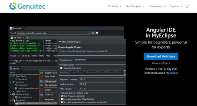 Top Angular Development Tools for Developers - TatvaSoft Blog
