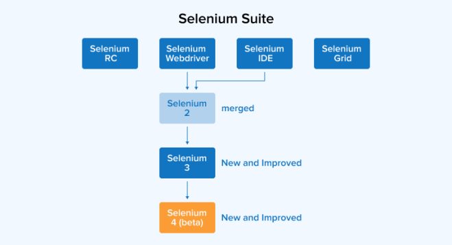 What is Selenium Testing? A Complete Guide - TatvaSoft Blog