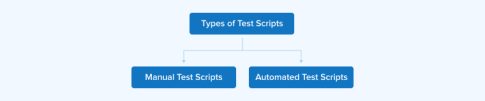 How to Write a Test Script With Example - TatvaSoft Blog