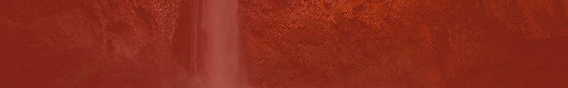 Software Development Company - TatvaSoft